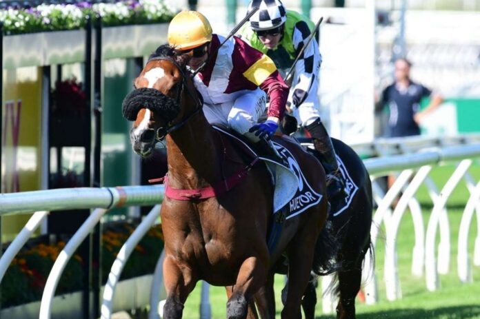 6 Tips for Picking the Winning Horse in Stradbroke Handicap Horse Race ...