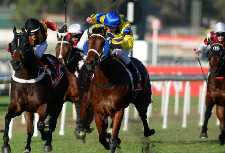 6 Tips for Picking the Winning Horse in Stradbroke Handicap Horse Race ...